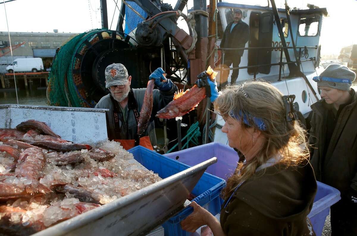 Fish sold right from the boat: The old ways resurface