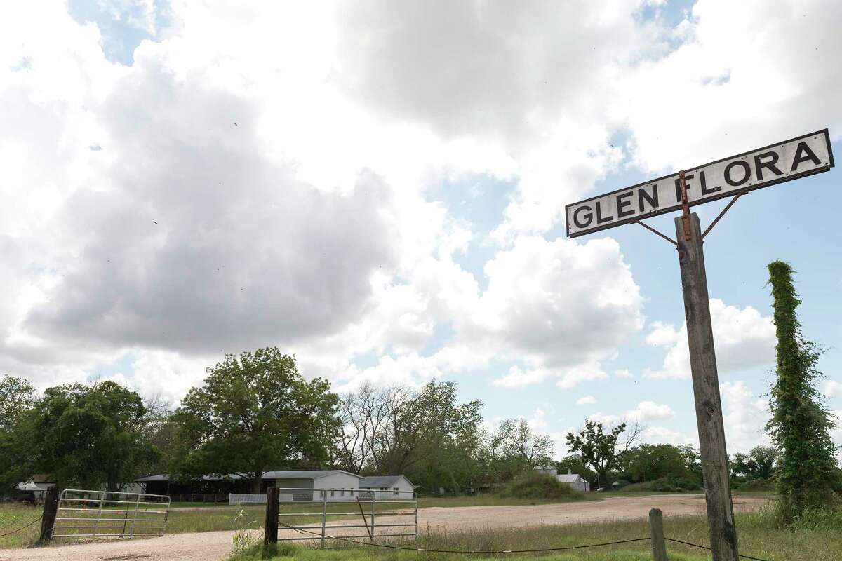 Curiosities at a Glen Flora beer joint included a pet alligator among ...