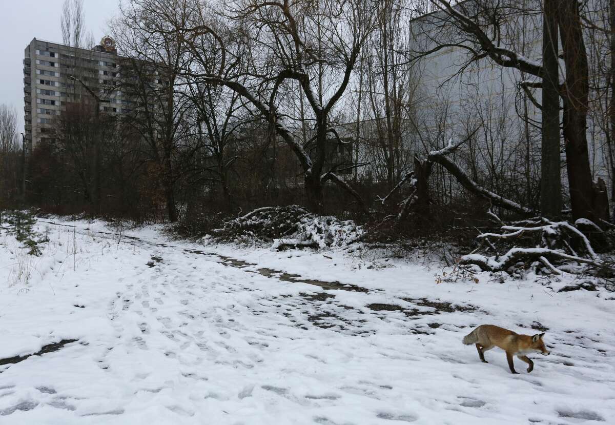 30 years later: A 360º look at Chernobyl