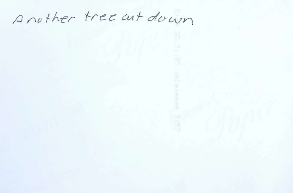 The final link in Houston Heights bones case: images of Mary Cerruti's ...