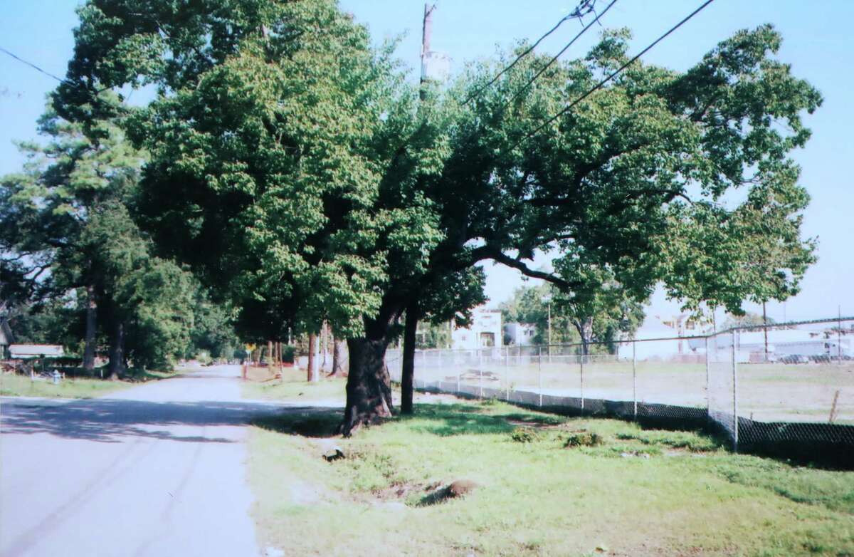 The final link in Houston Heights bones case: images of Mary Cerruti's ...
