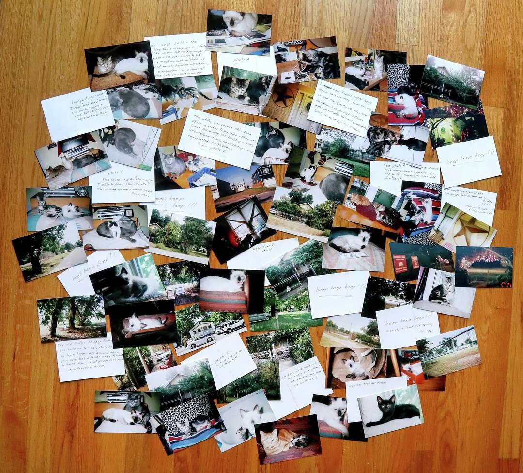 Before she went missing, Mary Cerruti left a self-portrait at her home ...