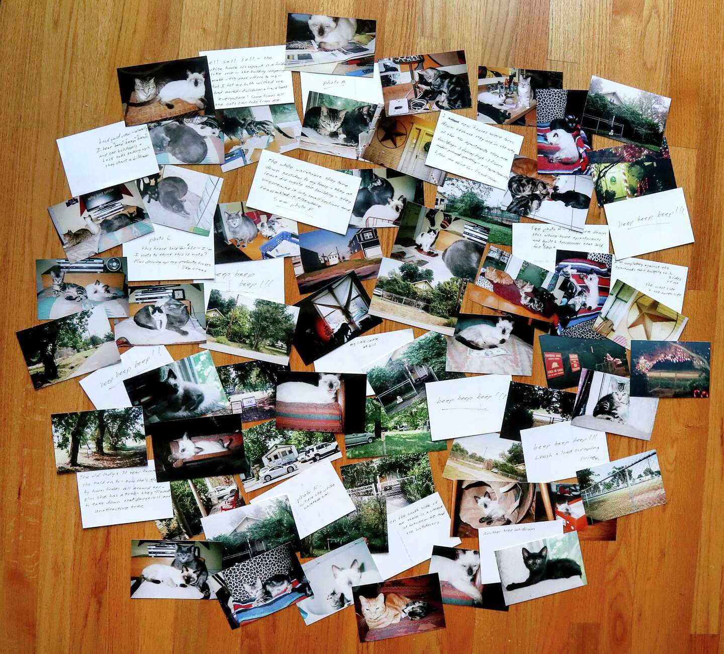 Before she went missing, Mary Cerruti left a self-portrait at her home ...