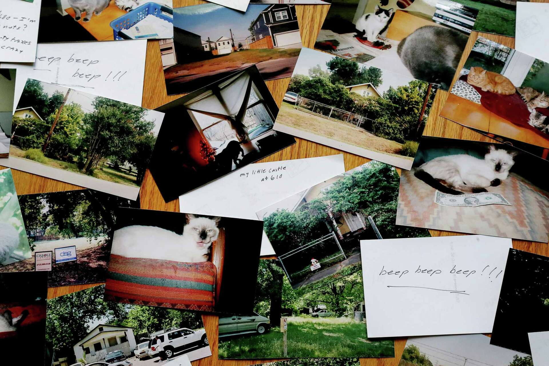 Before she went missing, Mary Cerruti left a self-portrait at her home ...