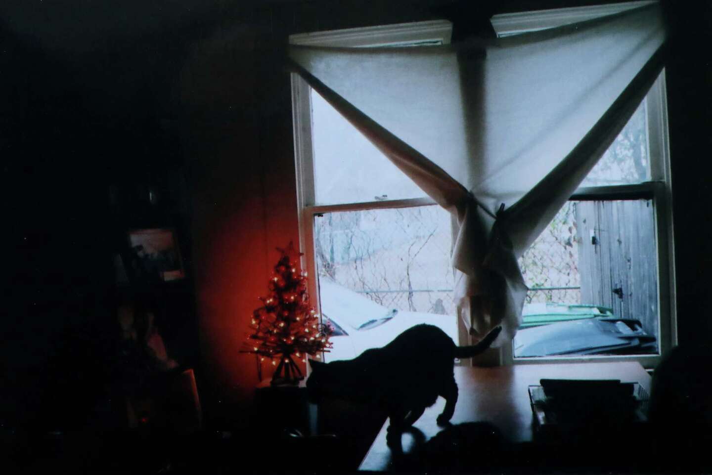 Before she went missing, Mary Cerruti left a self-portrait at her home ...