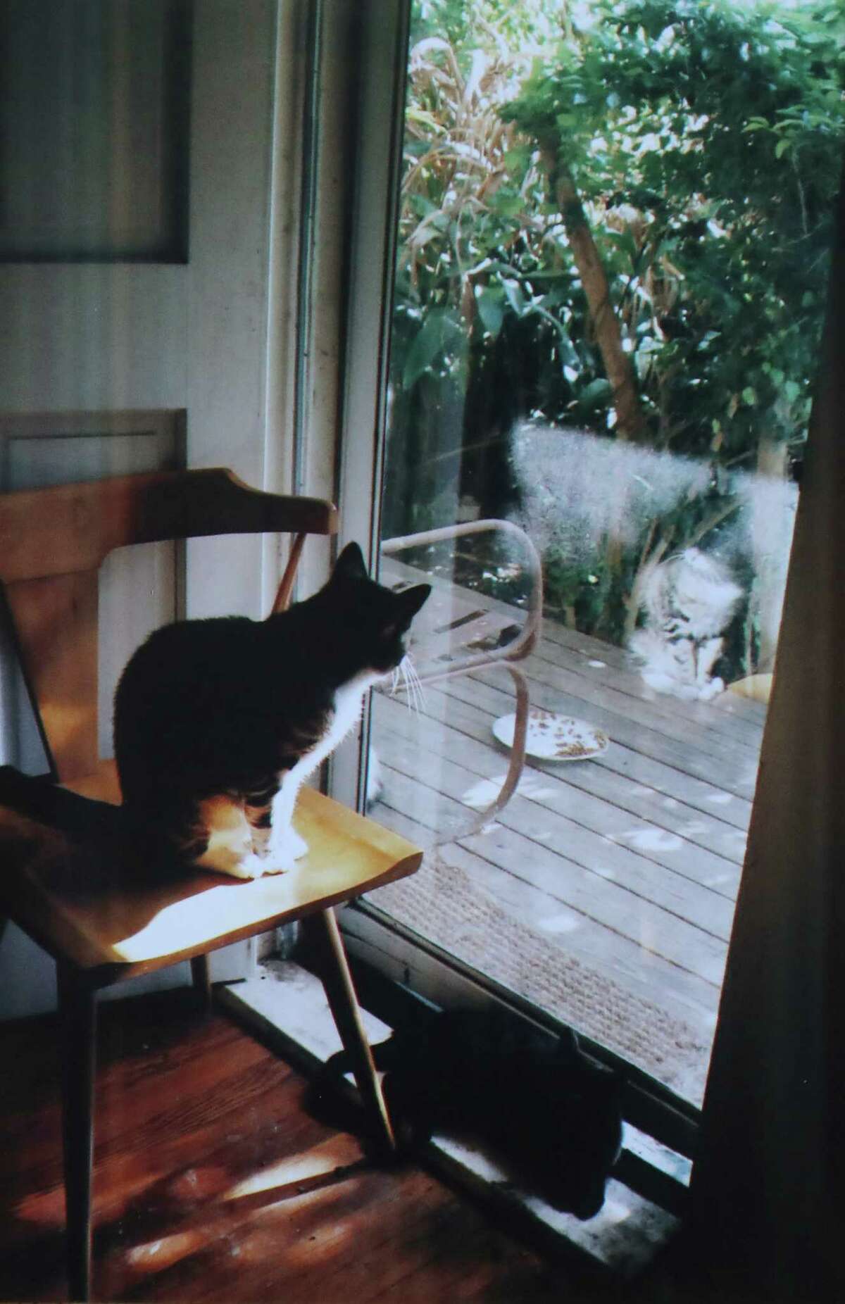 Before she went missing, Mary Cerruti left a self-portrait at her home ...