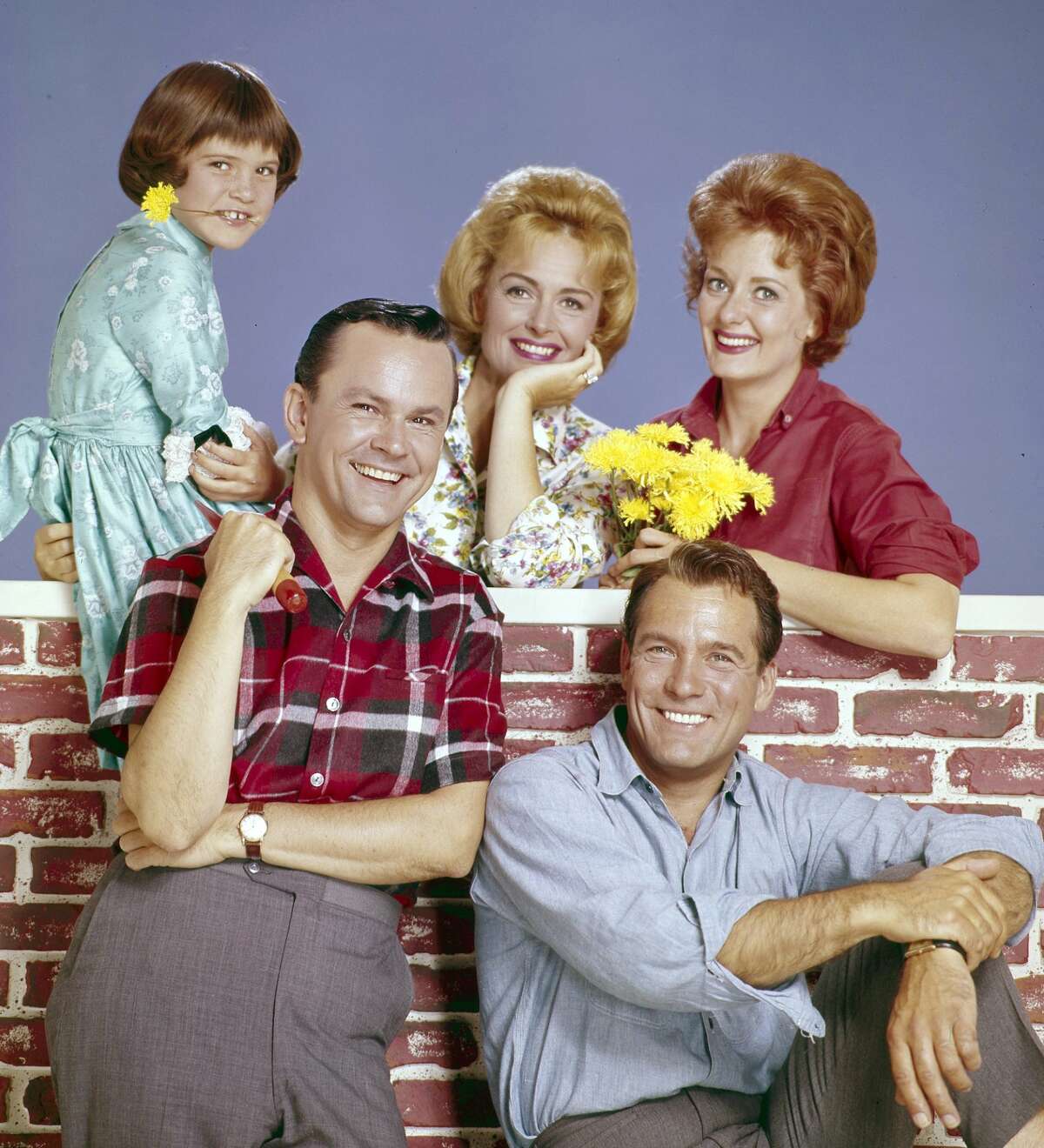 Television stars of the 1960s