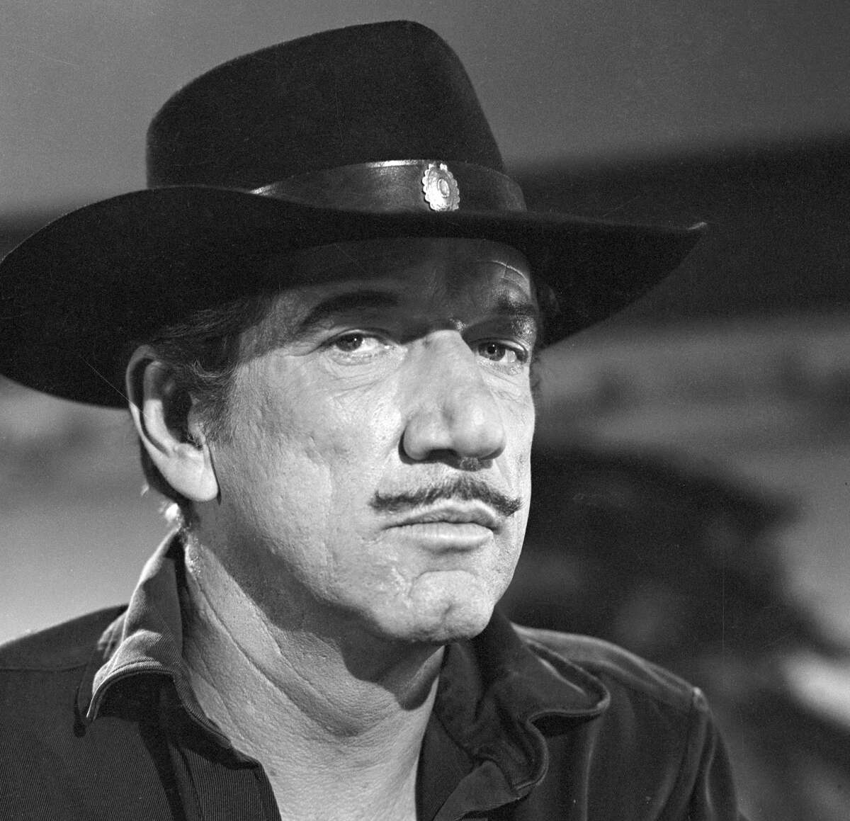 Television stars of the 1960s