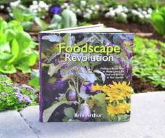 Vegetables fit right into flower beds for edible garden