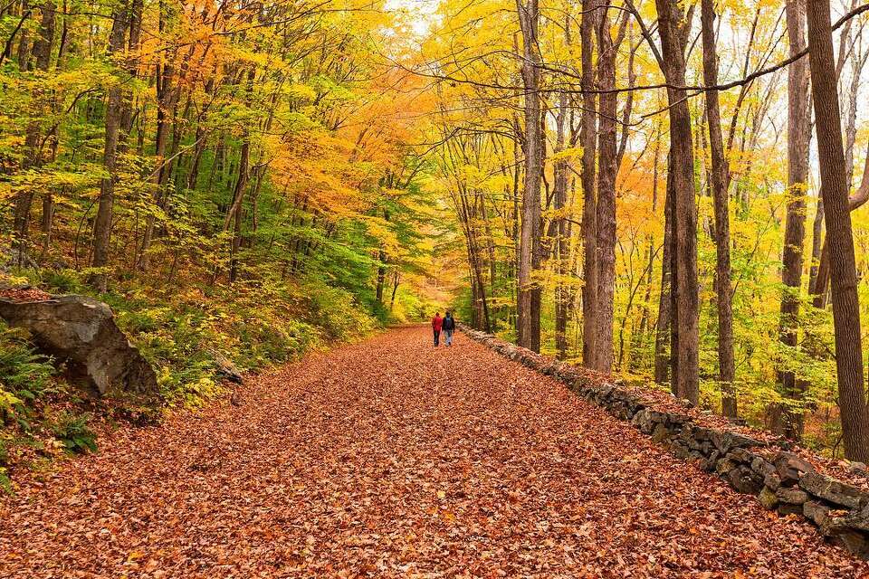 15 Connecticut hiking trails to try out in 2022