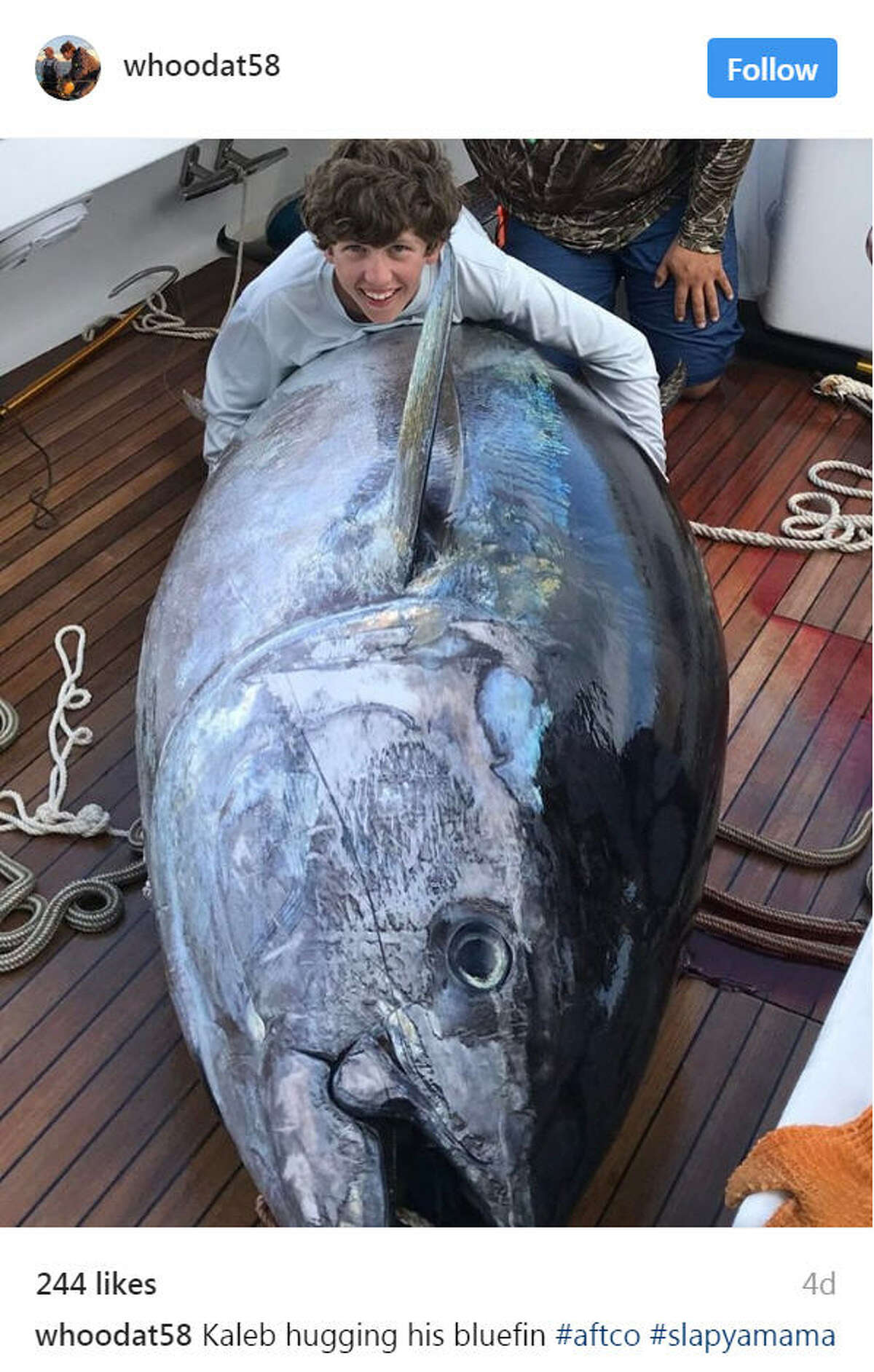 Louisiana 8th-grader catches a monster blue fin tuna in the Green ...