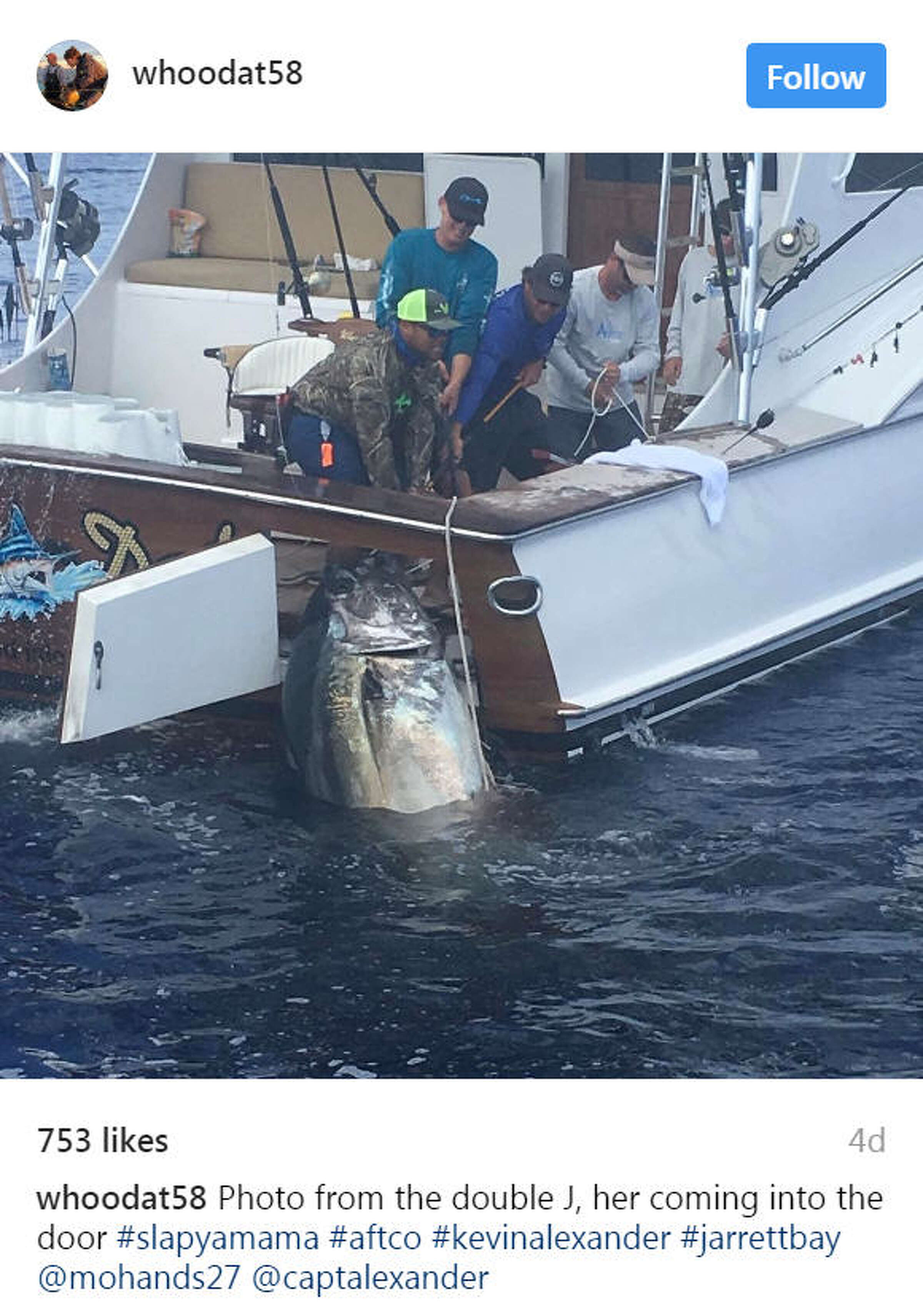 Louisiana 8th-grader catches a monster blue fin tuna in the Green ...