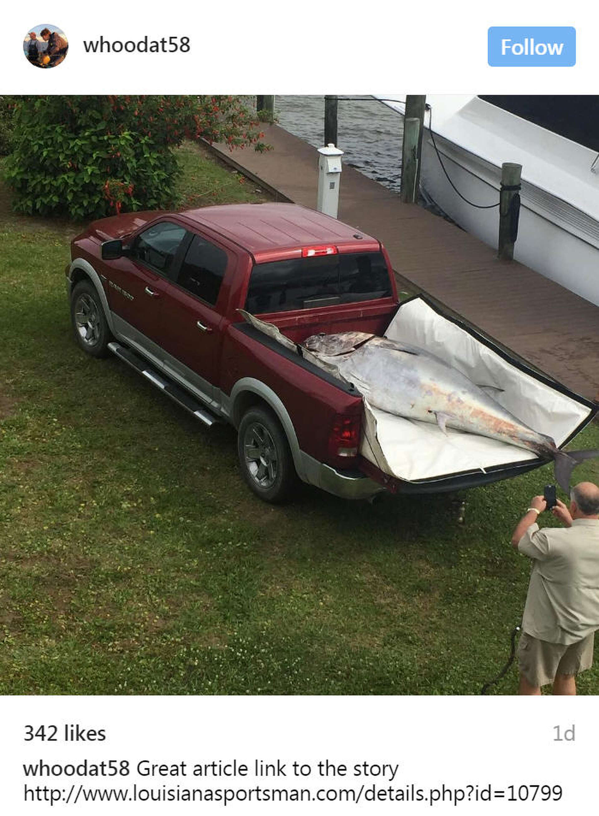 Louisiana 8th-grader catches a monster blue fin tuna in the Green ...
