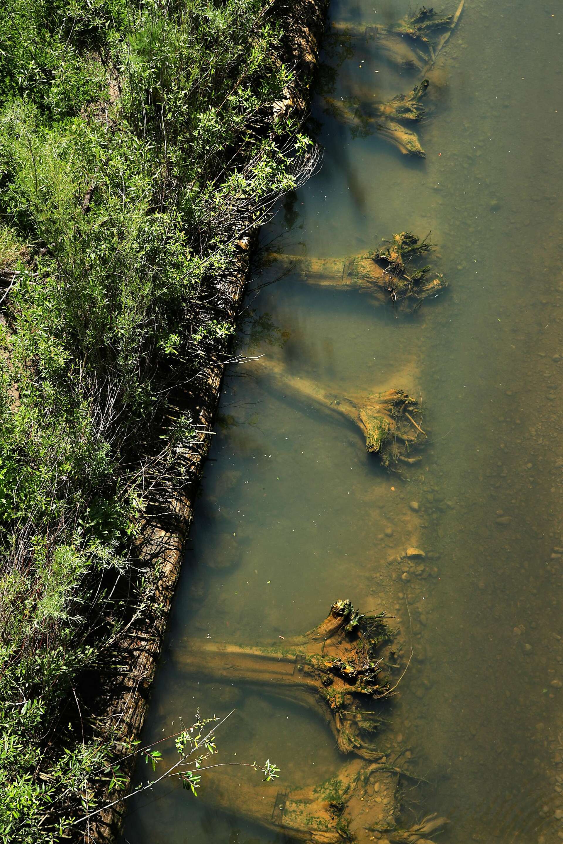 ‘Living river’ rejuvenates Napa, brings needed flood control