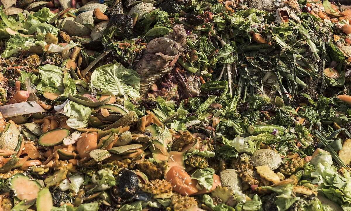 The future of animal feed? Fly farming