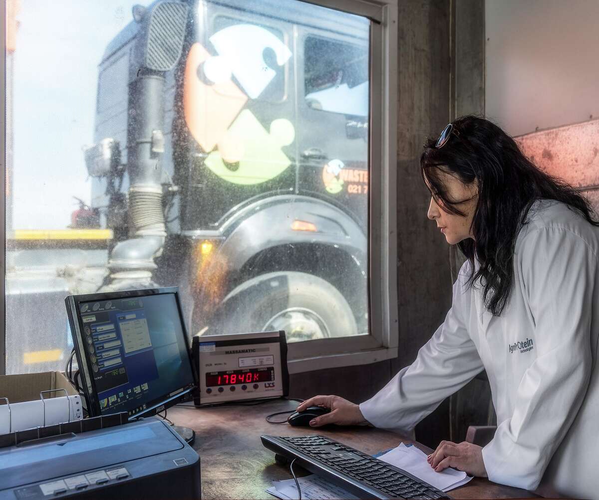 The future of animal feed? Fly farming