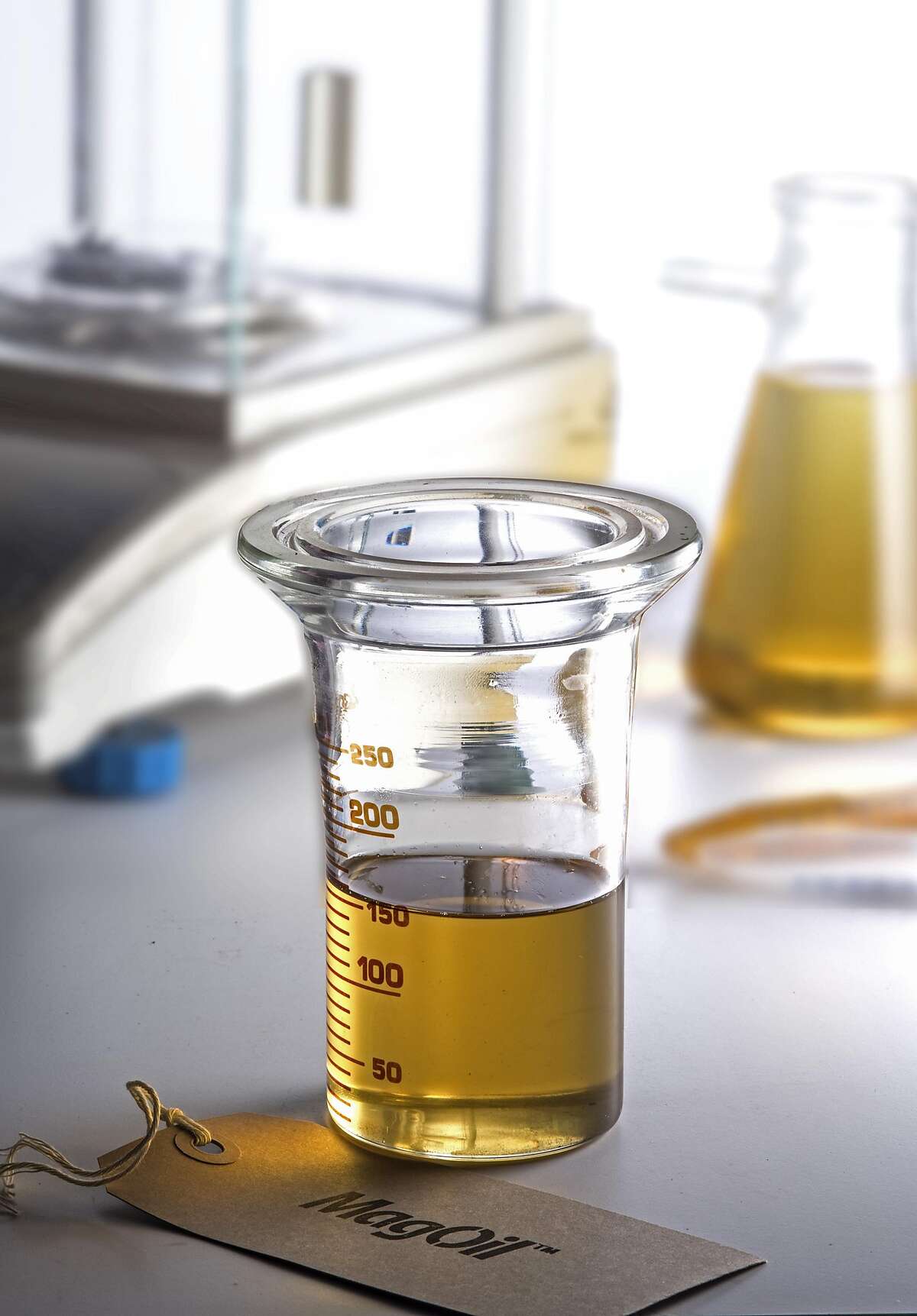 The future of animal feed? Fly farming