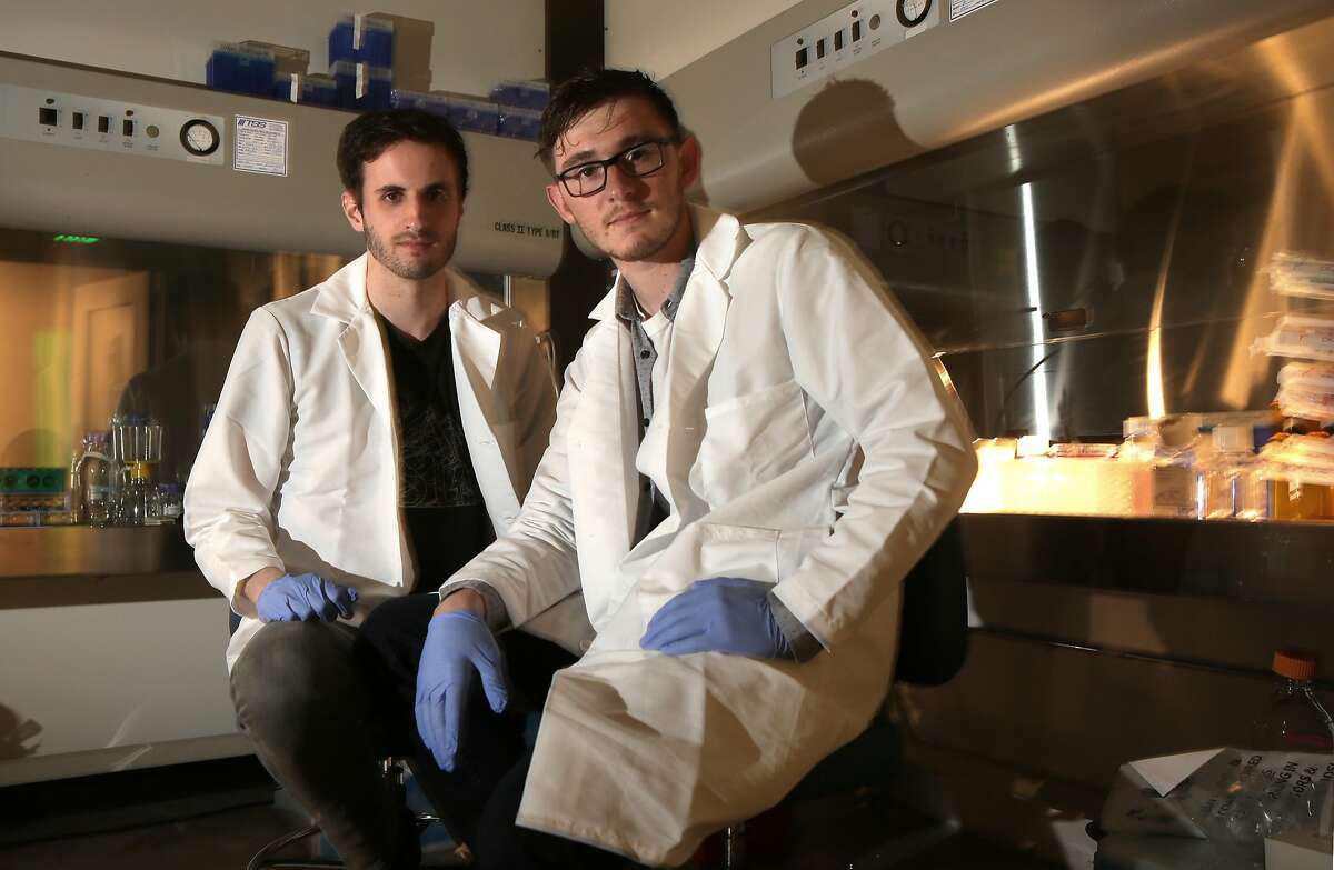 The Bay Area becomes the global hub for faux meat innovation