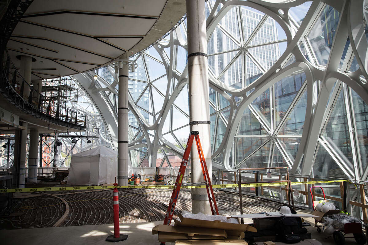 How do Amazon employees view The Spheres? See the winning shots from ...