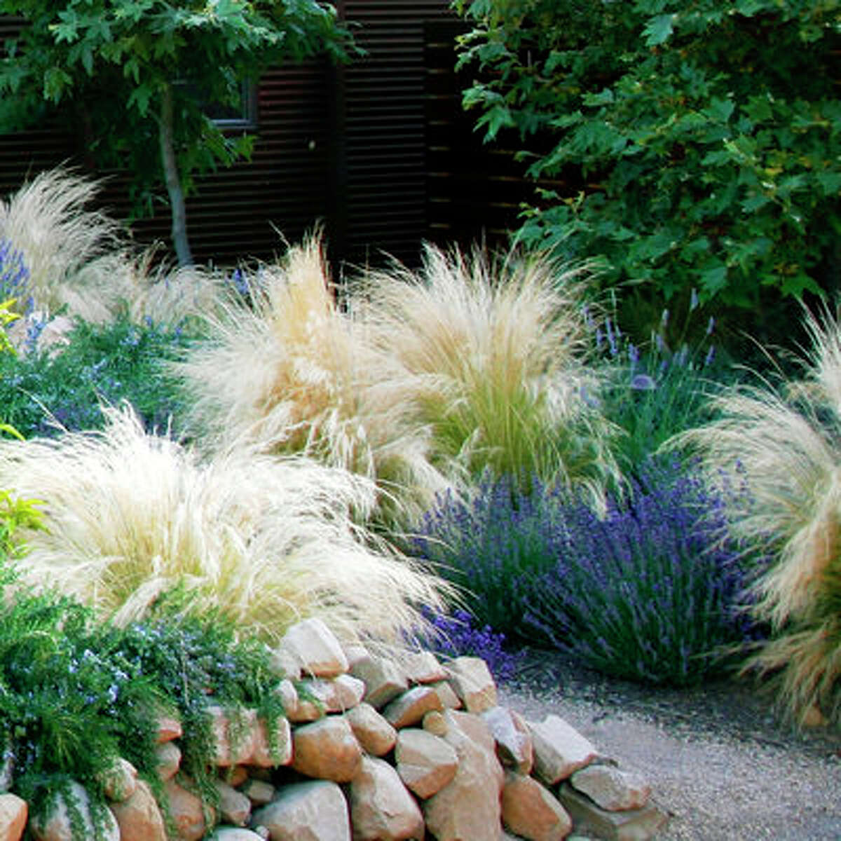 7 smart ideas for a low-water yard