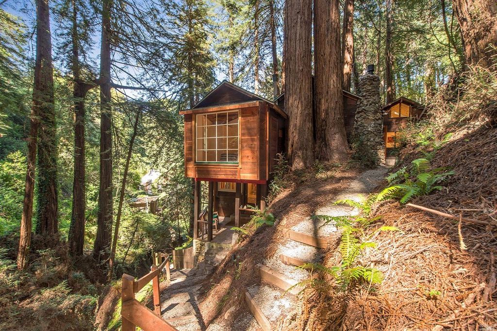 Mill Valley 'treehouse' accessible only by 130-step mountain trail on ...