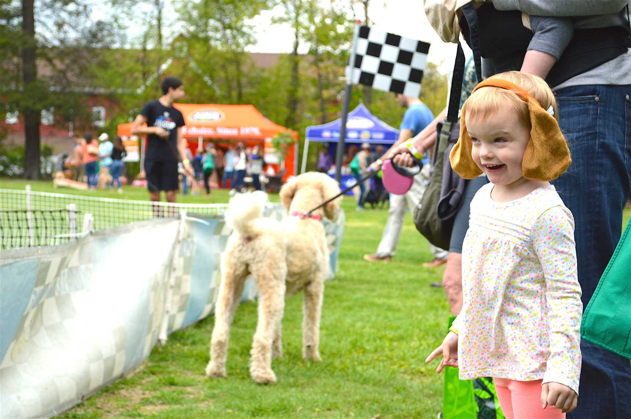 In Pictures: Dog Festival brings out a crowd in Westport