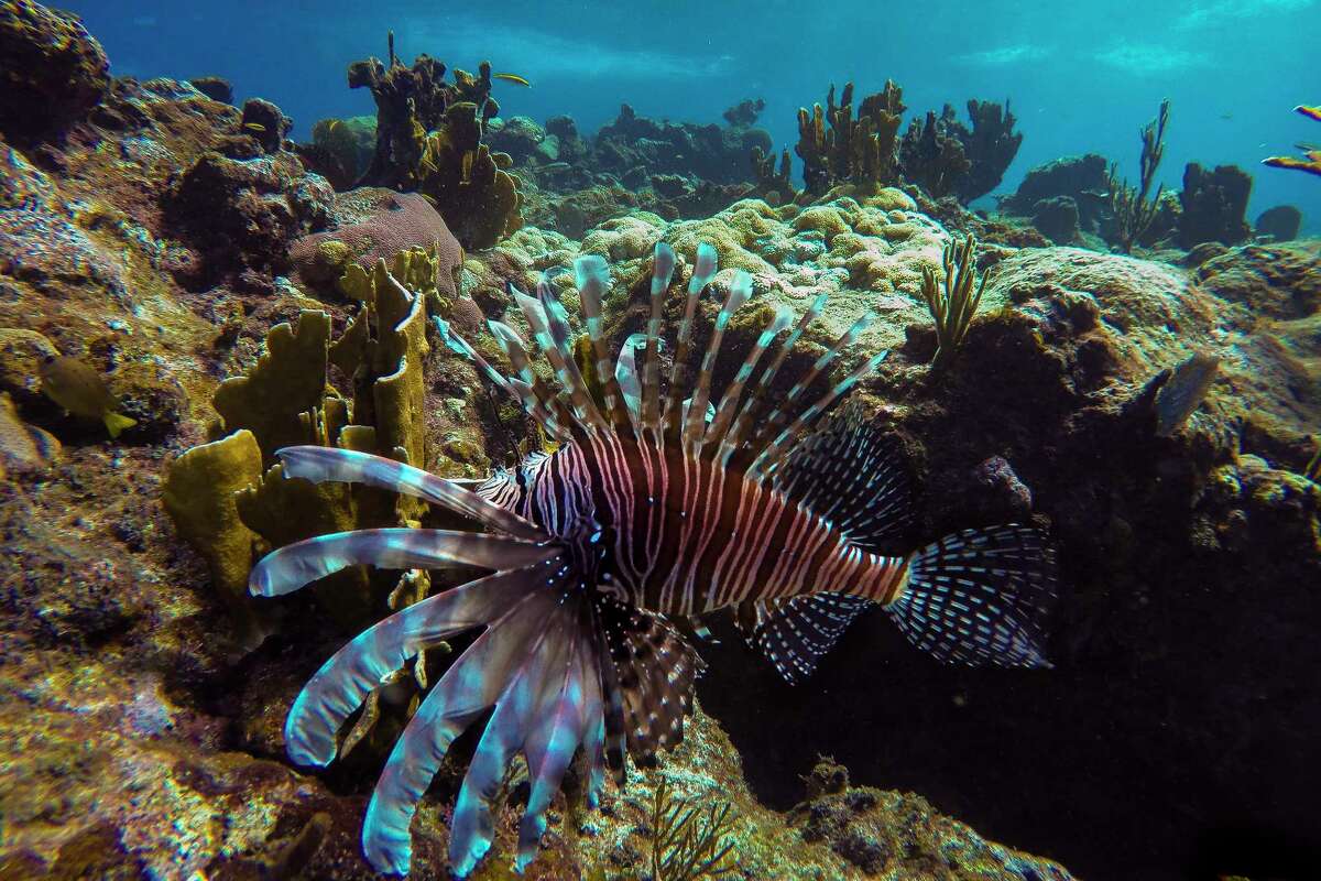 Cuba, the Caribbean's most enigmatic island, is a cultural, visual feast