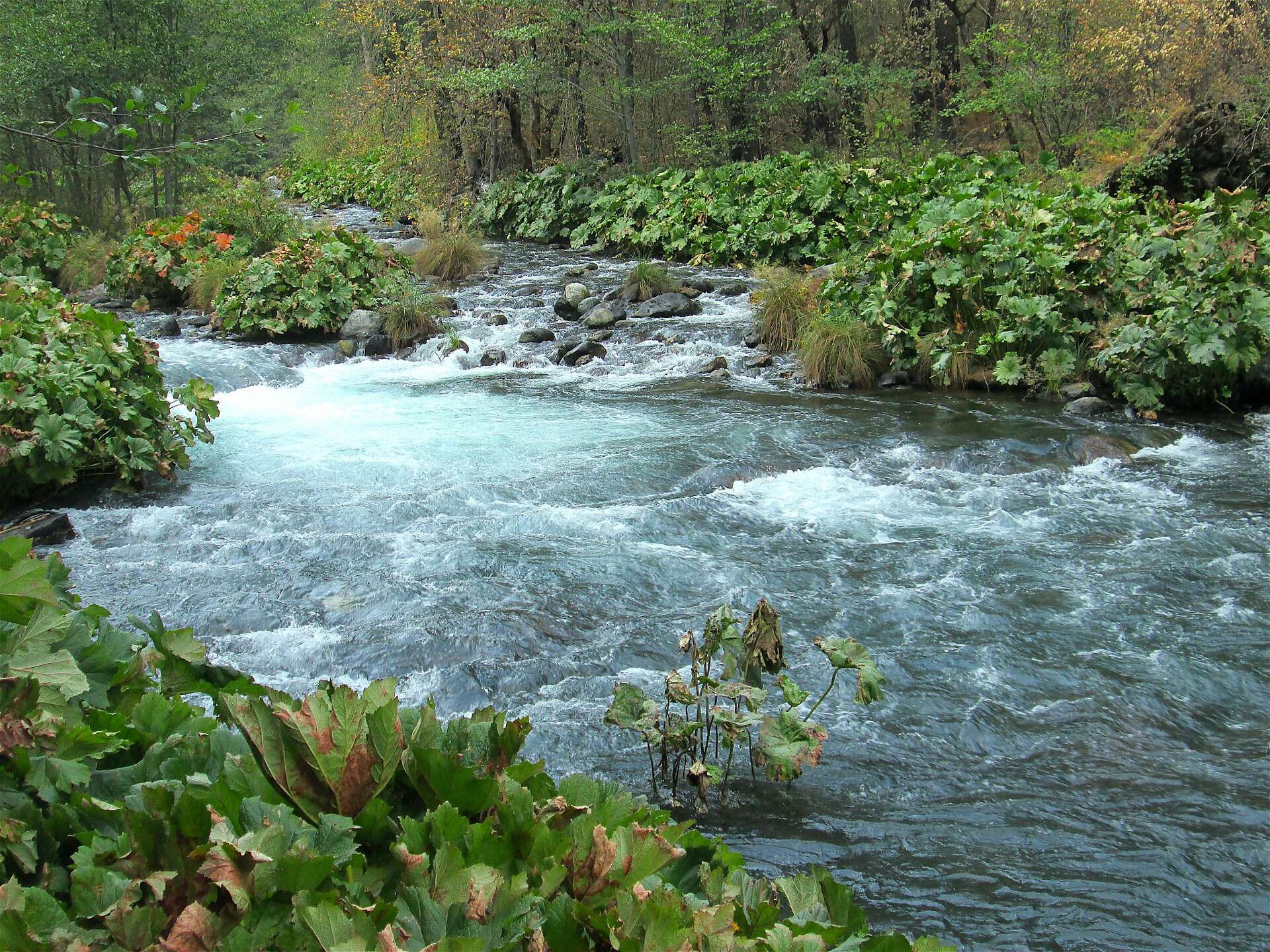 Shasta-Cascade Region’s overlooked natural wonders