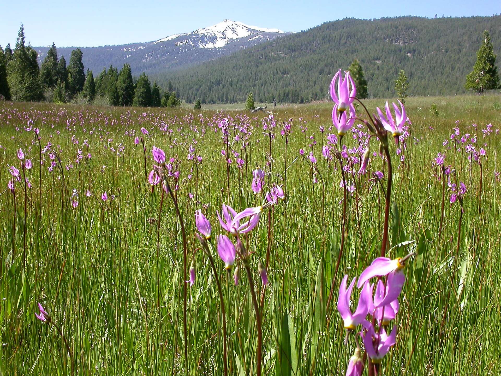 Shasta-Cascade Region’s overlooked natural wonders