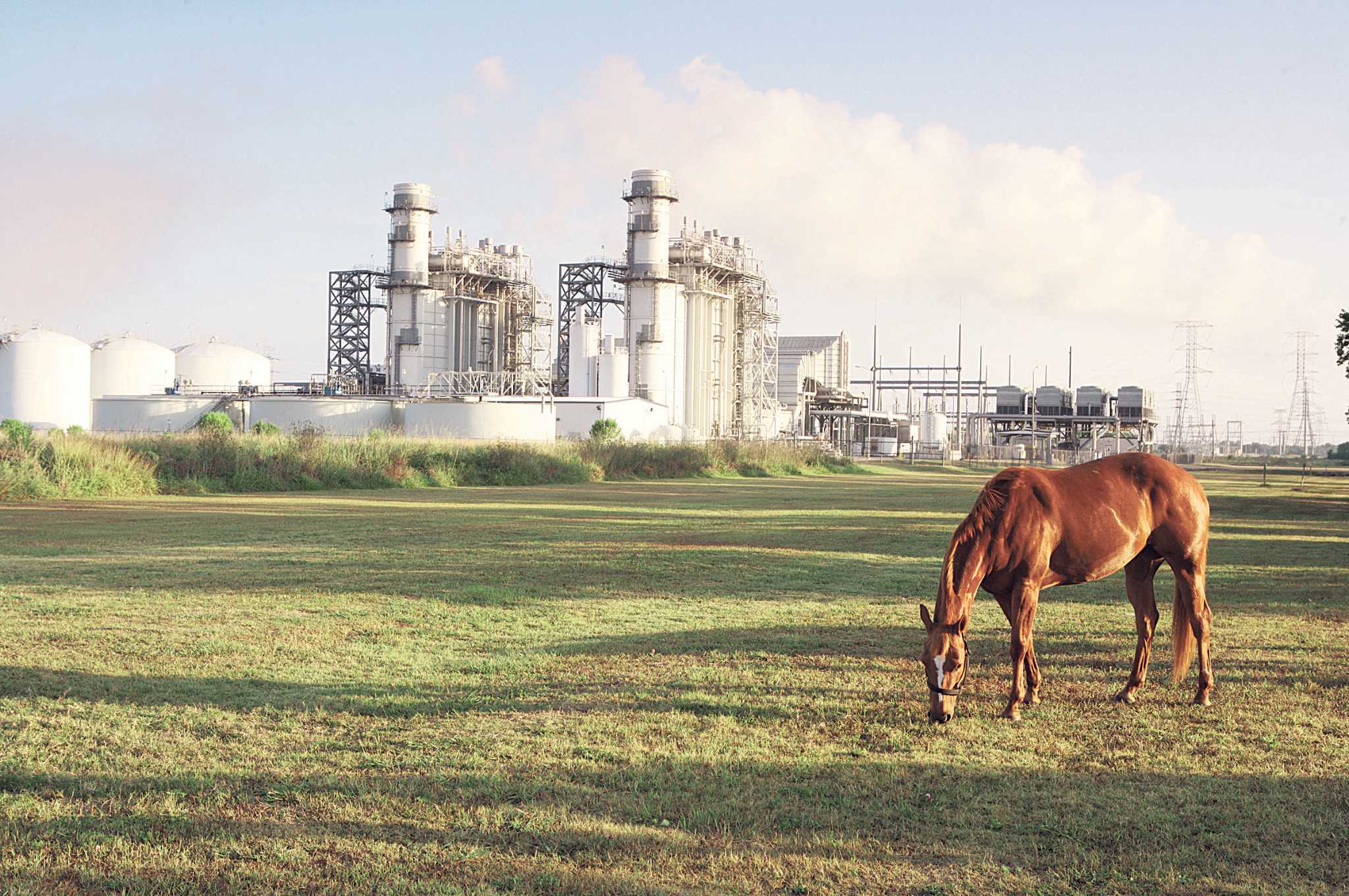 Calpine uniquely positioned to work with renewables, CEO says