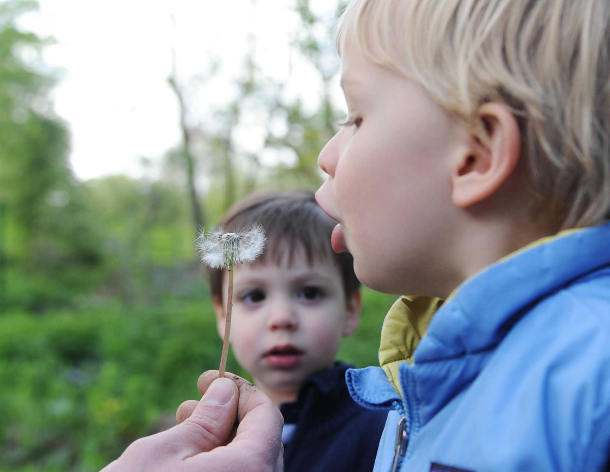 Children and mothers enjoy nature program at Audubon Greenwich