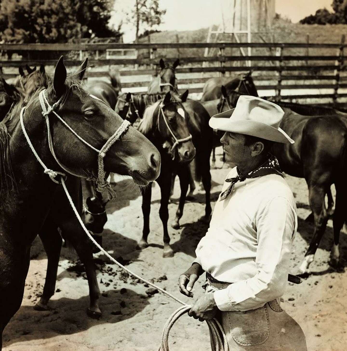 New book peeks inside life at famed King Ranch