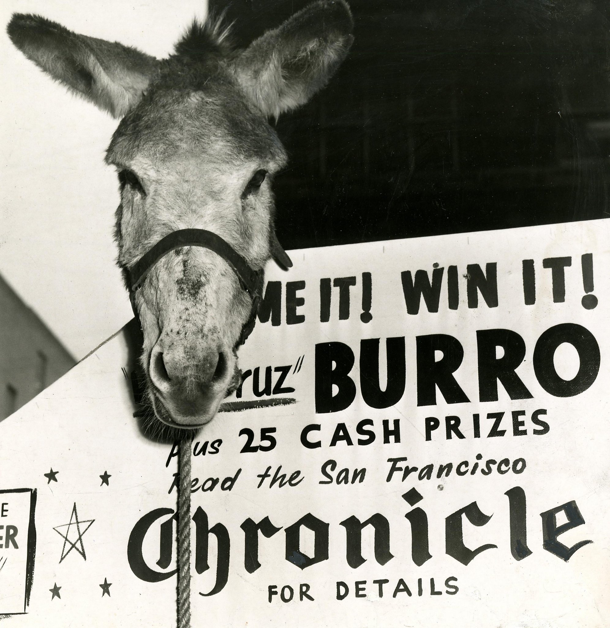 Win a donkey or a Batmobile! Chronicle promotions from the archives