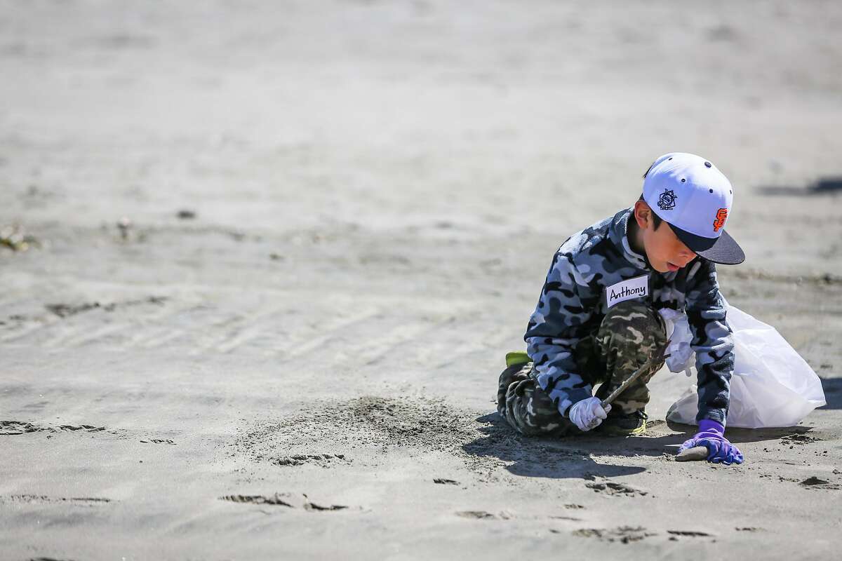 600 SF students join forces to clean up Ocean Beach
