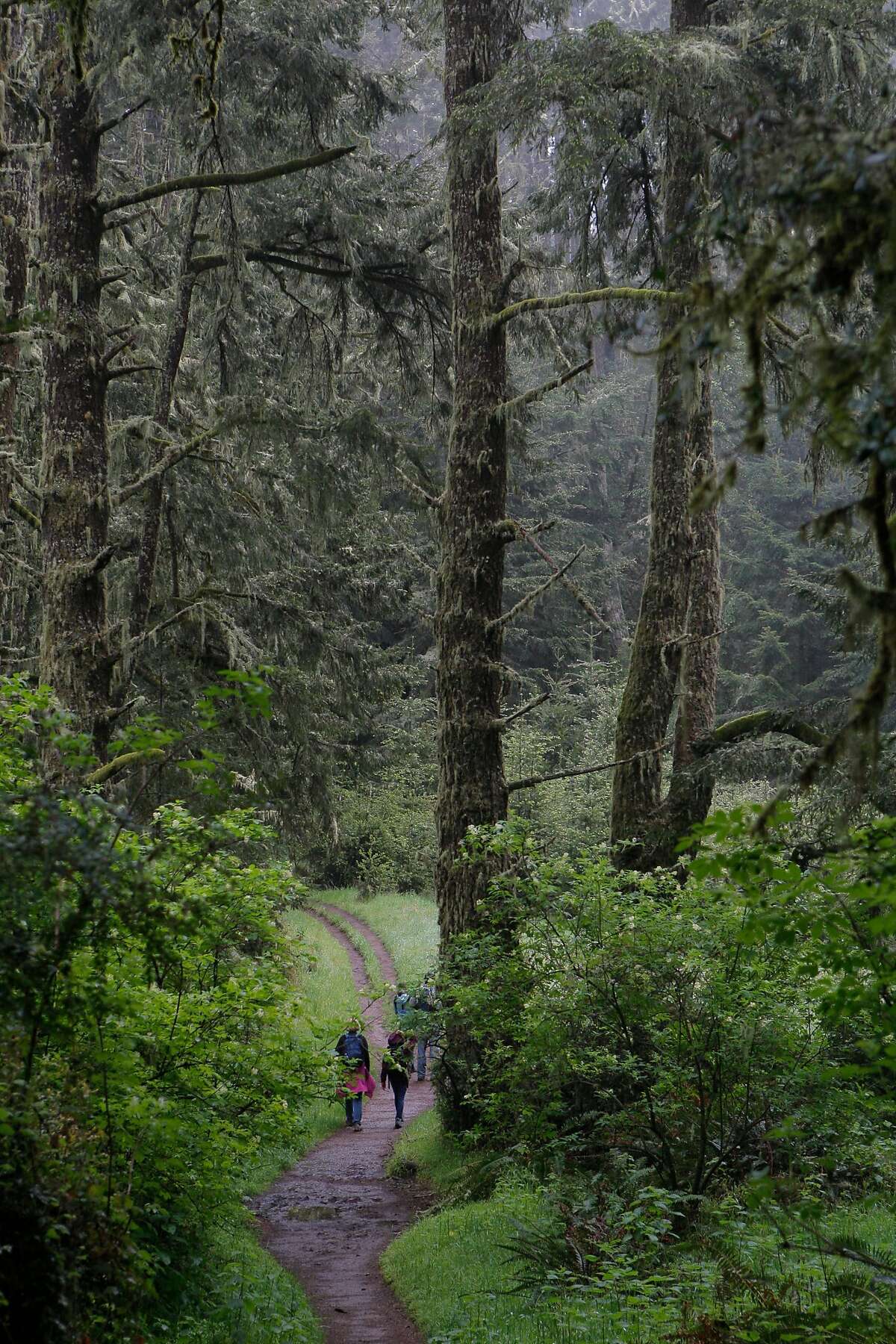 For first-time backpackers, Marin is the perfect place to start