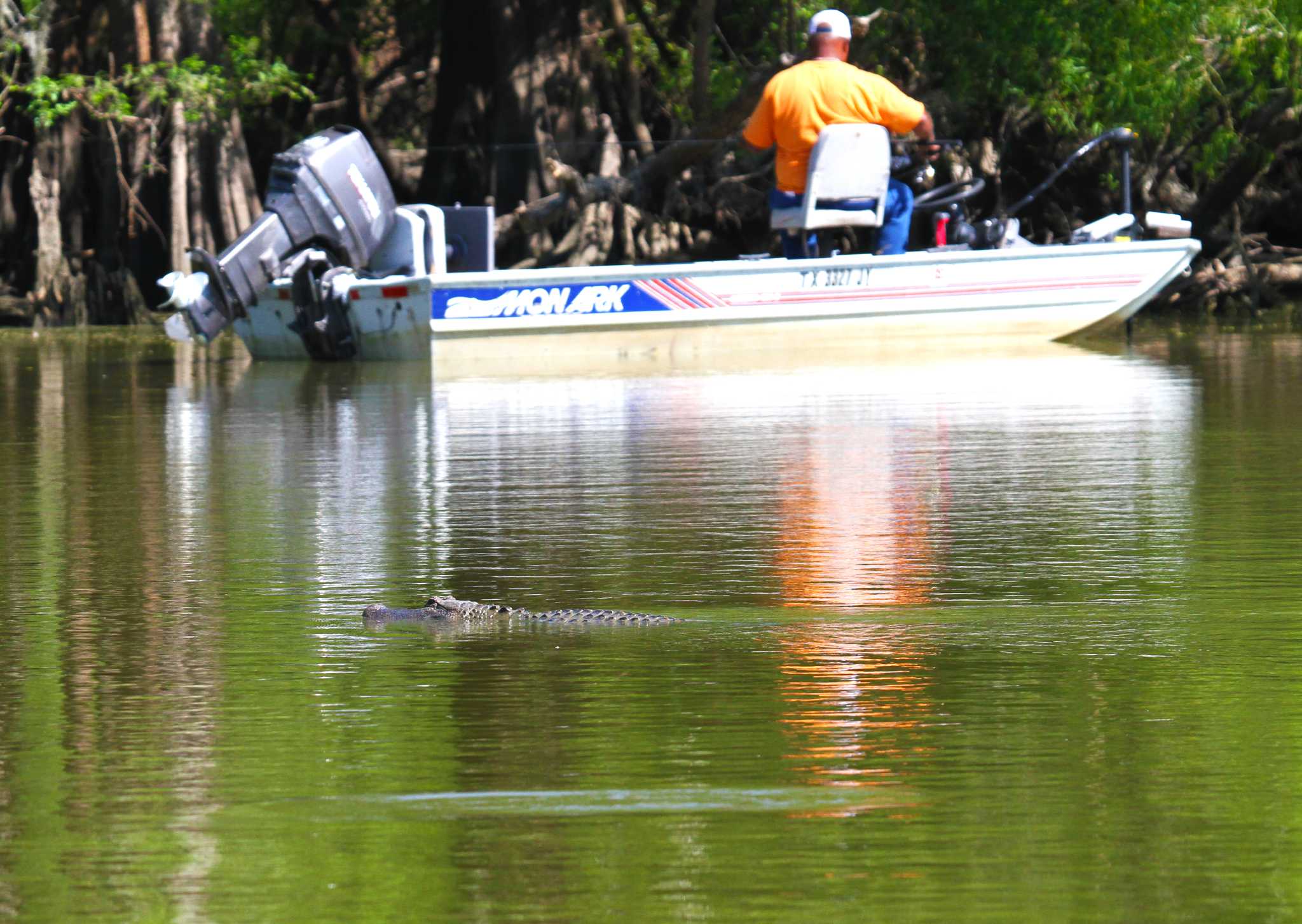Be smart when sharing the water with gators