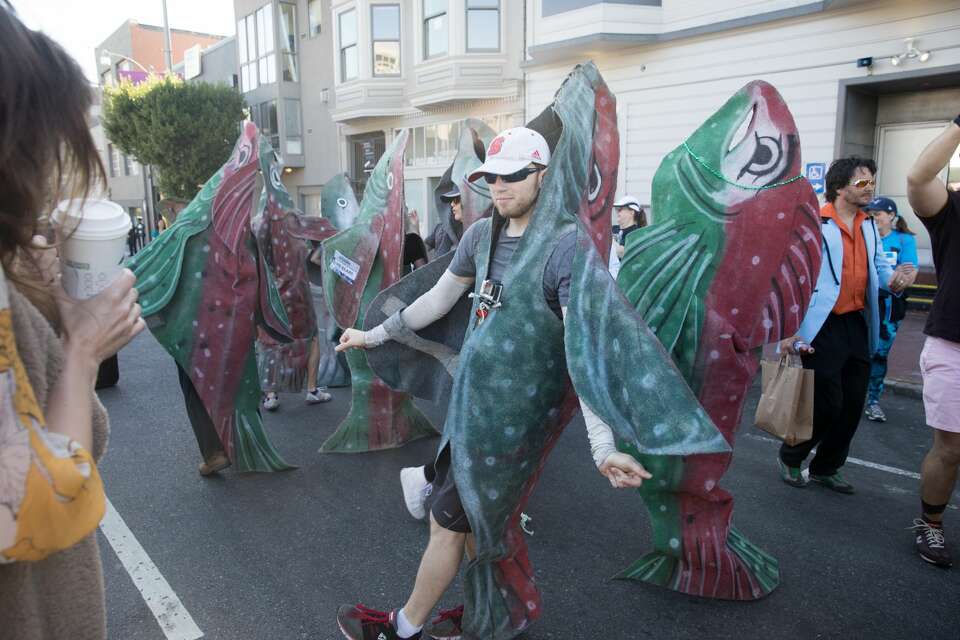 The salmon run is SF's weirdest Bay to Breakers tradition