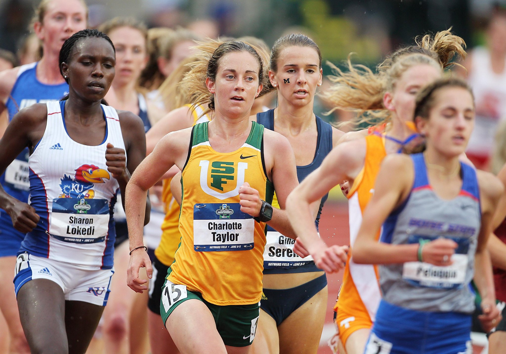 USF distance runner Charlotte Taylor looks to make NCAA meet
