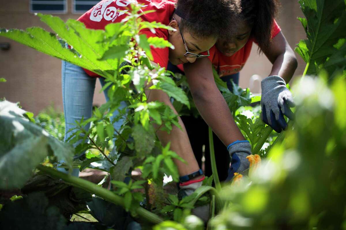 Gregory-Lincoln Education Center grows budding culinary stars