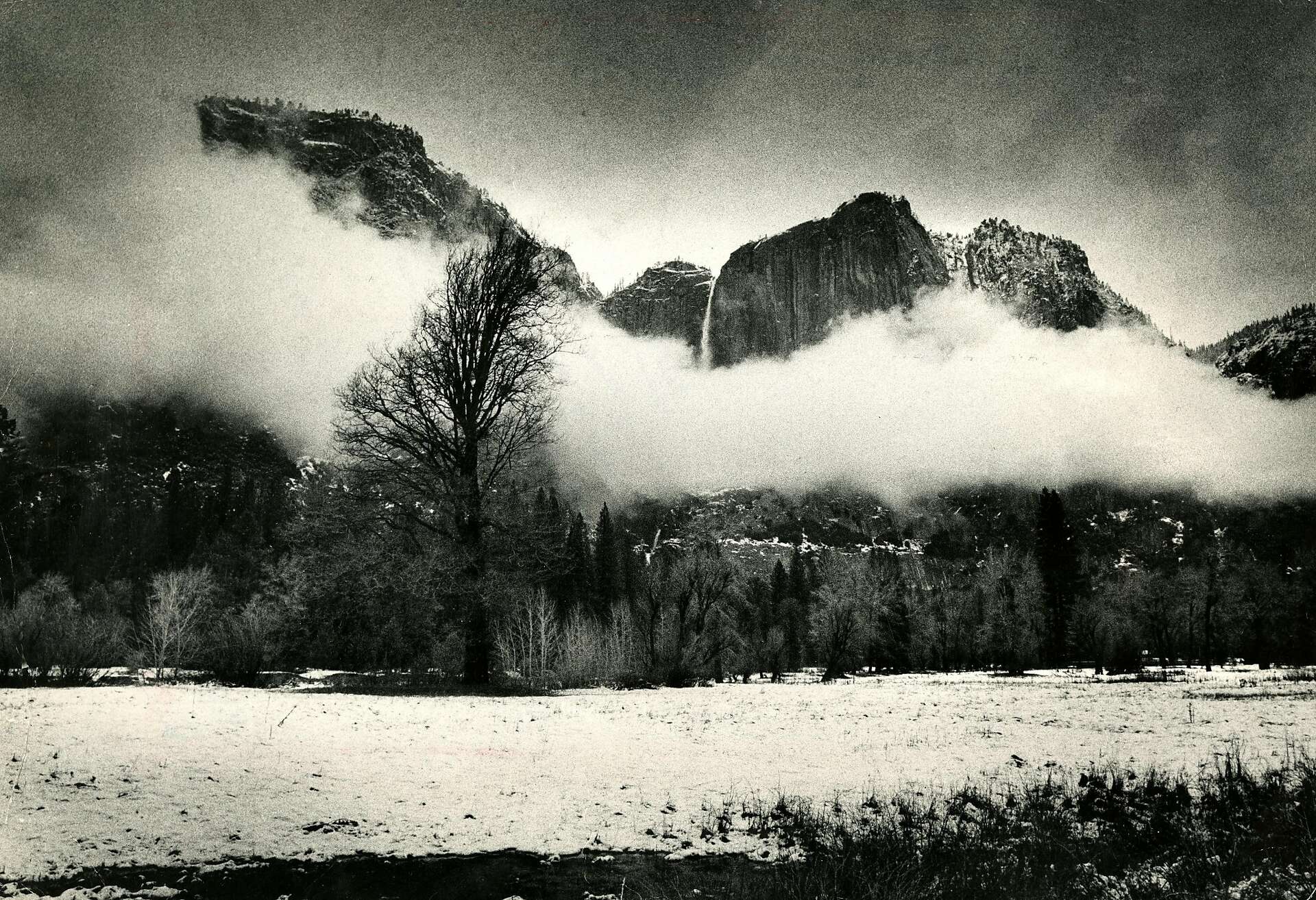 Collection of Ansel Adams photographs given to the Yosemite Museum