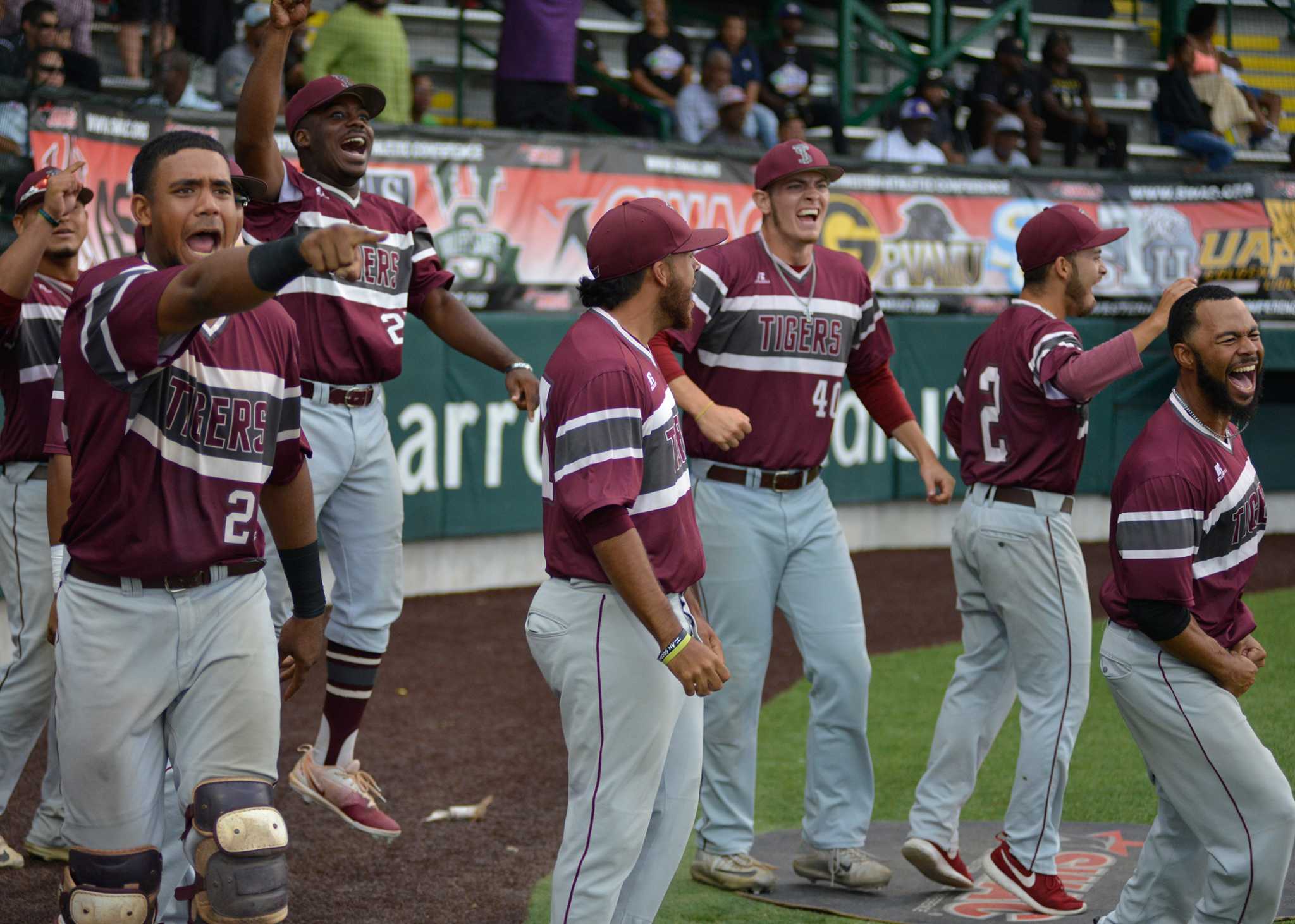 TSU baseball overcomes early adversity, rallies to win SWAC tournament