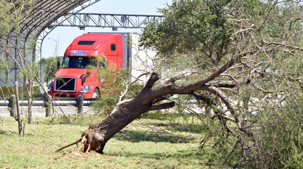 Laredo mayor declares city a disaster area in wake of devastating storm