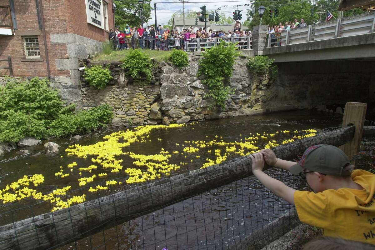 Hundreds gather for Newtown’s Great Pootatuck Duck Race