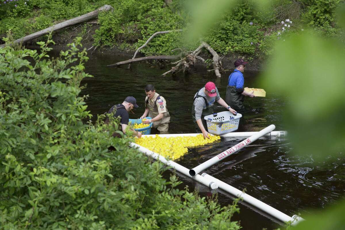 Hundreds gather for Newtown’s Great Pootatuck Duck Race