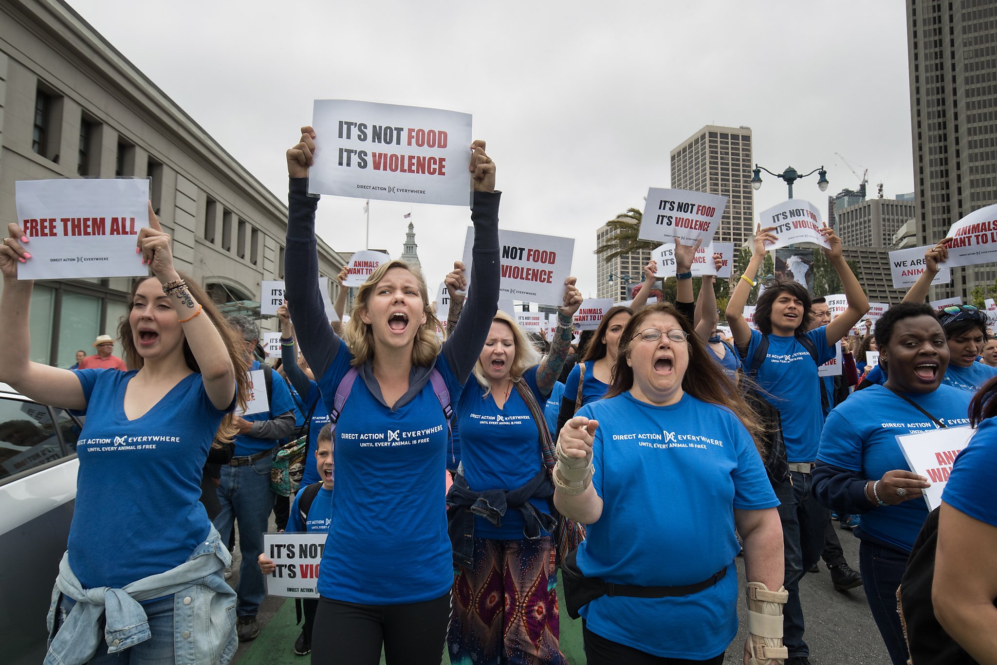Animal rights protesters taunted with meat when they crash Martinez BBQ ...