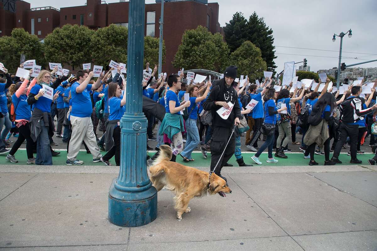 Berkeley butcher shop displays sign decrying animal slaughter to halt ...