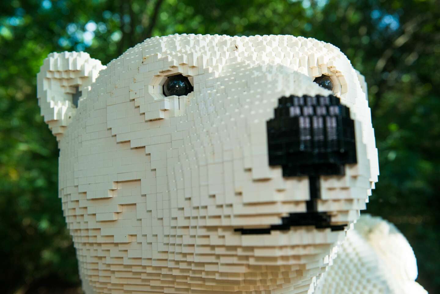 Houston Zoo brings favorite animals to life with 770,000 tiny plastic ...