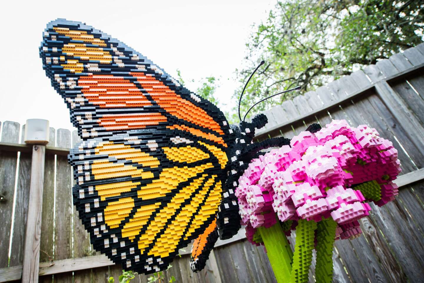 Houston Zoo brings favorite animals to life with 770,000 tiny plastic ...