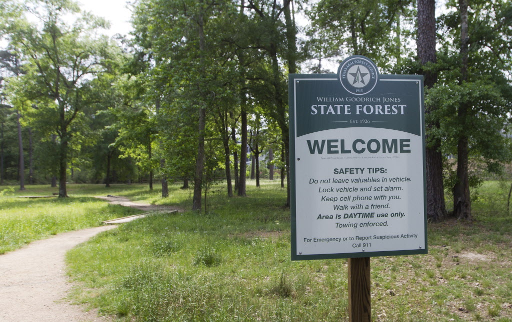 Jones State Forest offering a sanctuary from the city for nearly 100 years