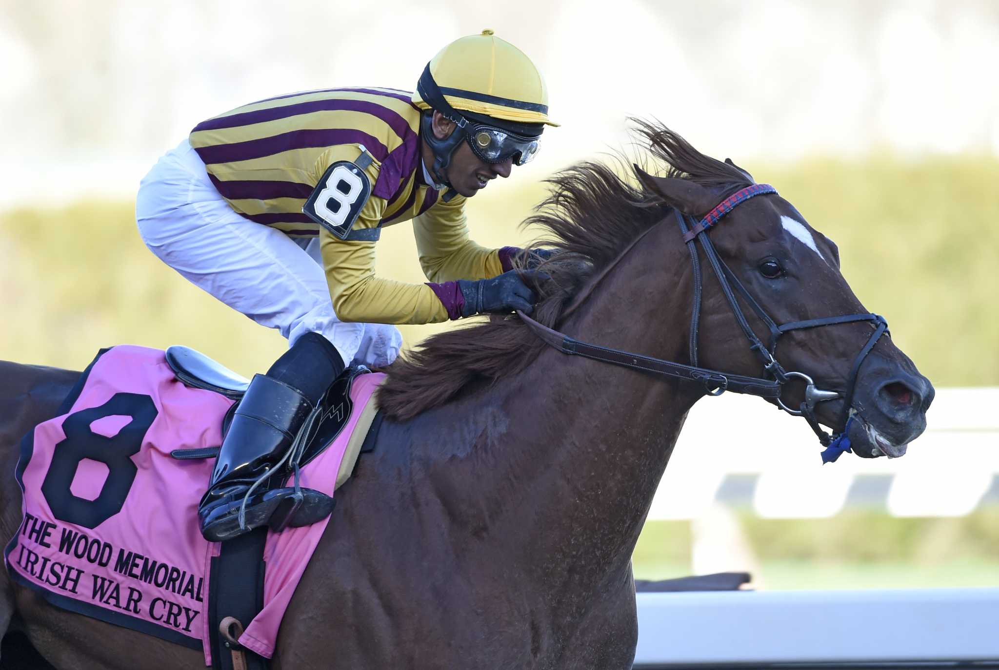 Irish War Cry may run in Belmont Stakes